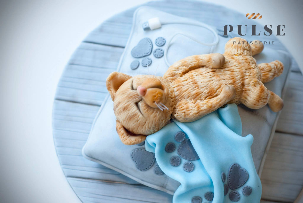 Lazy Cat | Pulse Patisserie